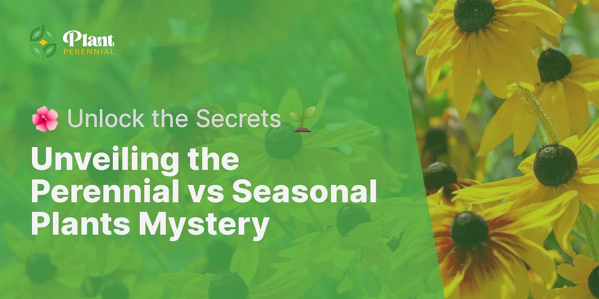 What is the difference between perennial and seasonal plants?